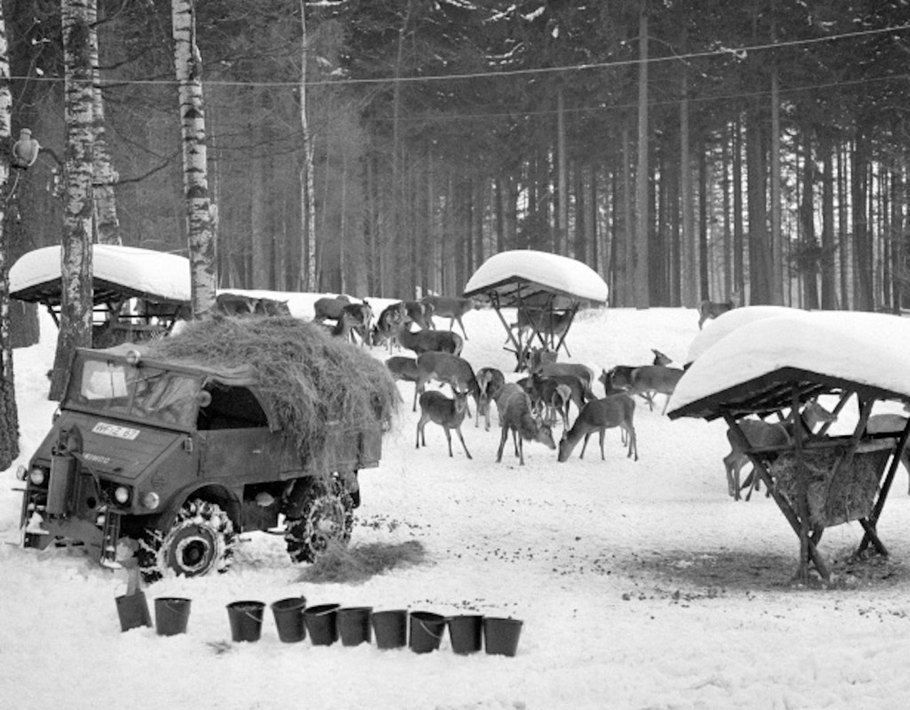 Bilder der Woche: Unimog im Winterdienst - Unimog-Community.de